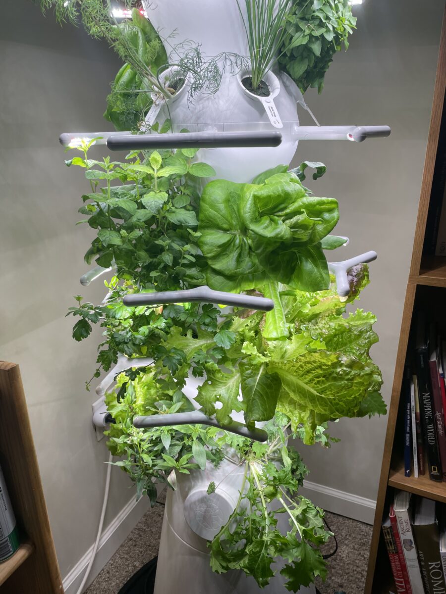 The Lettuce Grow Farmstand Nook: Gardening for People Who Can't Keep a ...